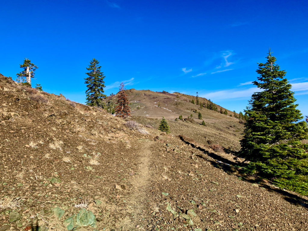 Hiking Snow Mountain East Peak – Another 100 Feet