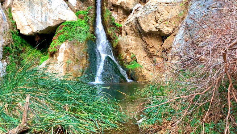 Hike to Darwin Falls at Death Valley National Park – Another 100 Feet