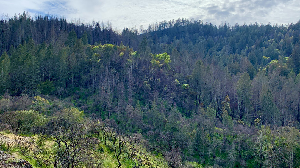 Hiking Upper Ritchey Canyon at Bothe-Napa Valley State Park – Another ...