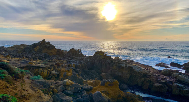 Salt Point State Park – Another 100 Feet